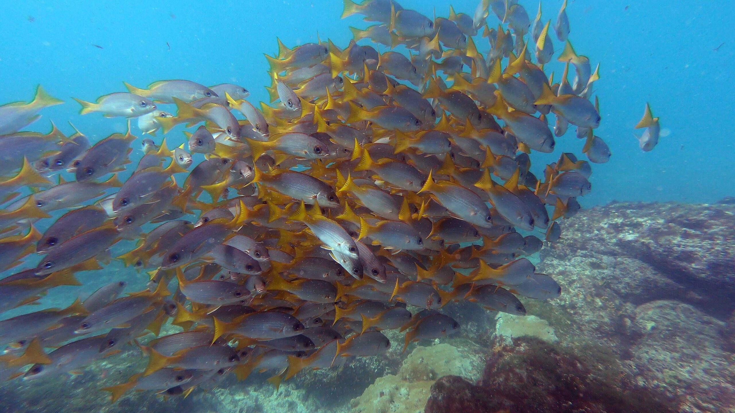 Taruga Sal Tours | Explora o Sal: da terra ao mar, aventura em cada ...