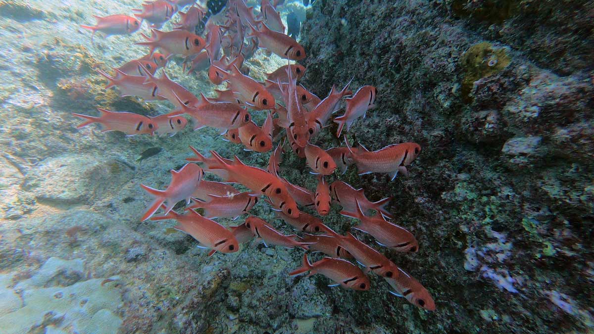 Taruga Sal Tours | Explora o Sal: da terra ao mar, aventura em cada ...