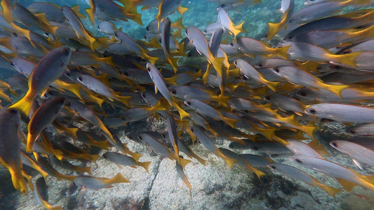 Taruga Sal Tours | Explora o Sal: da terra ao mar, aventura em cada ...